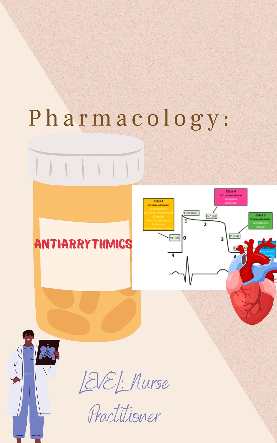 Nurse Practitioner Study Guide: Pharmacology- Antiarrythmic Drugs ...