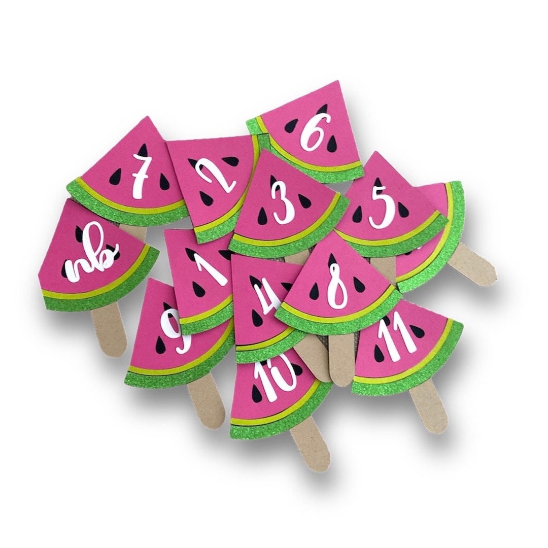 One in a Melon Watermelon 12 Month Photo Banner, Watermelon 1st ...