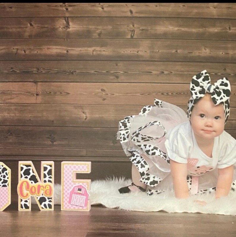 Holy Cow I'm One Birthday Decorations, Cow First Birthday 3D Letter ...