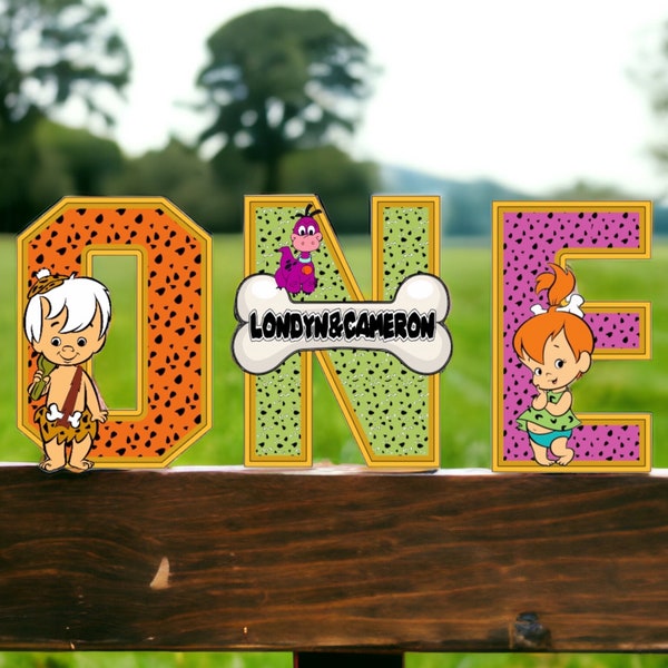 Pebbles Theme Birthday Party - Etsy