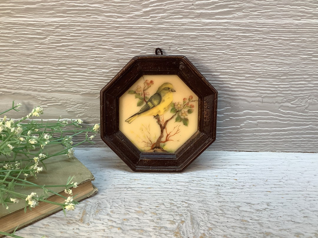 Vintage Wax Hexagon Bird Picture/ Unique Wax Art Framed Bird - Etsy