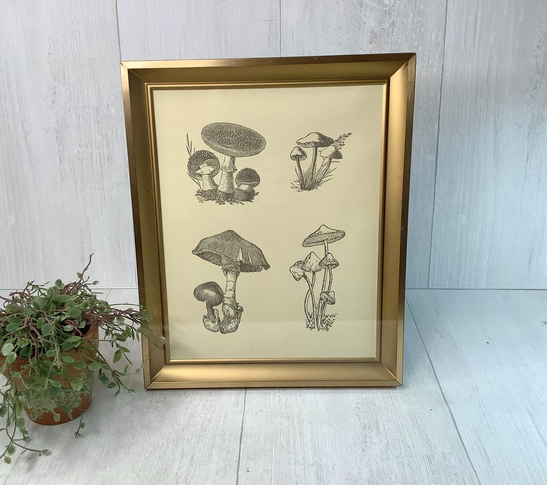 Vintage Large Gold Metal Shadow Box Picture Frame: Mid-century Modern ...