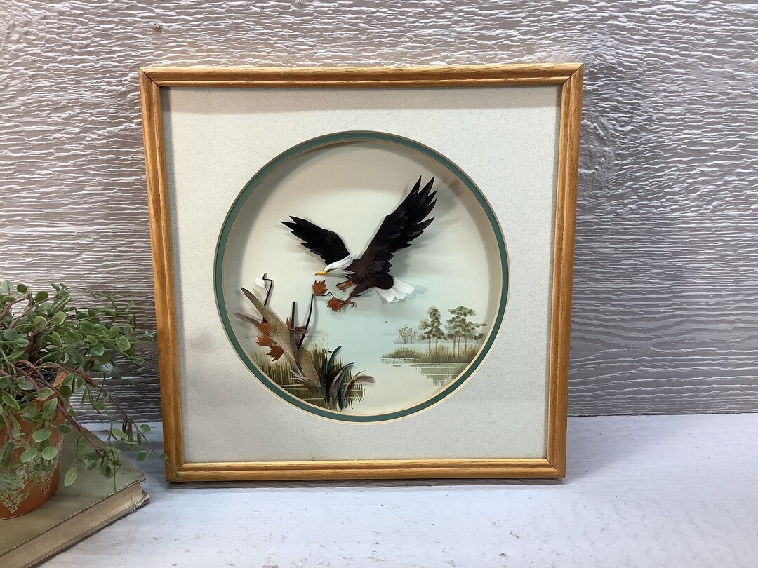 Unique Framed Feather Art Bald Eagle in Flight/ Asian Feather Art ...