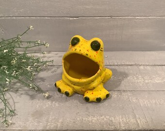 Kitchen Sink Frog - Etsy