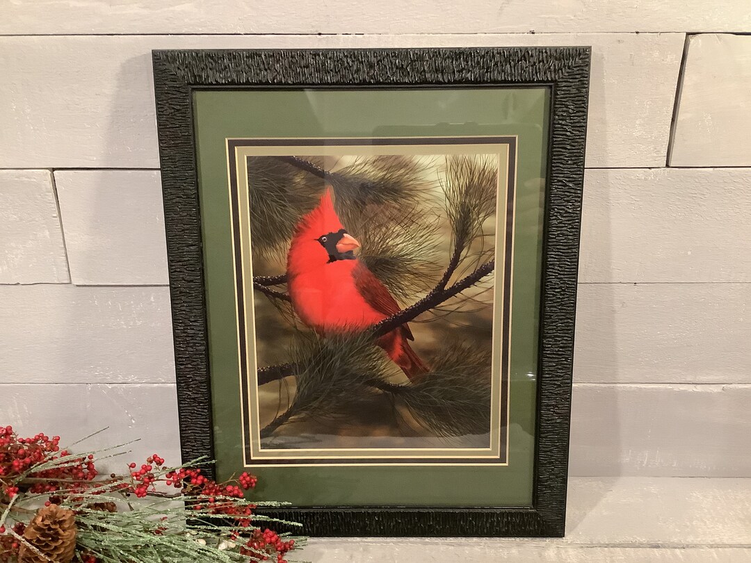 Vintage Framed Cardinal Bird Print/ Framed Northern Red Bird Cardinal ...