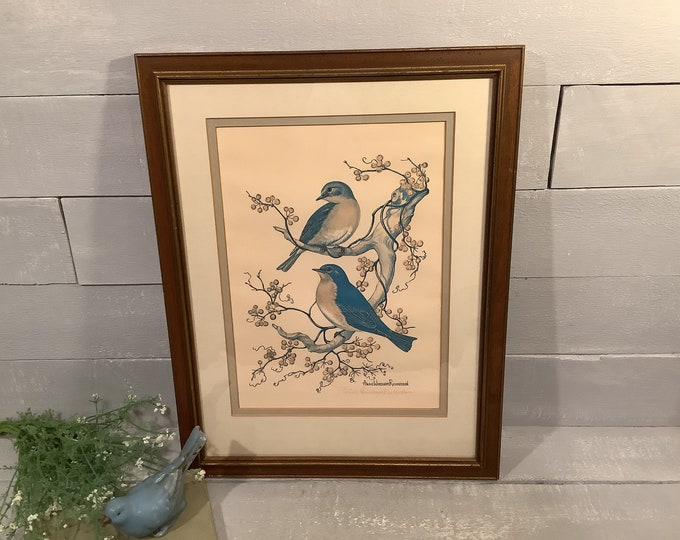 Vintage Framed Anne Worsham Richardson Bluebird Print/ Large Framed ...
