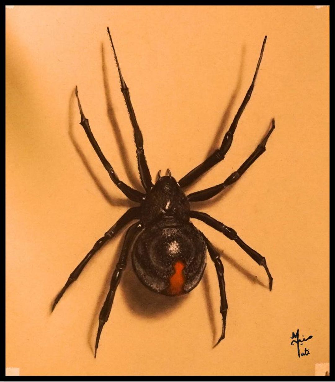 Original Art, Handmade, Creepy Crawly, Spider, Pakistani Art, Global ...