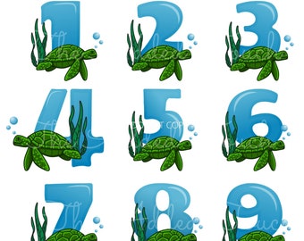 Turtle Numbers Png - Etsy