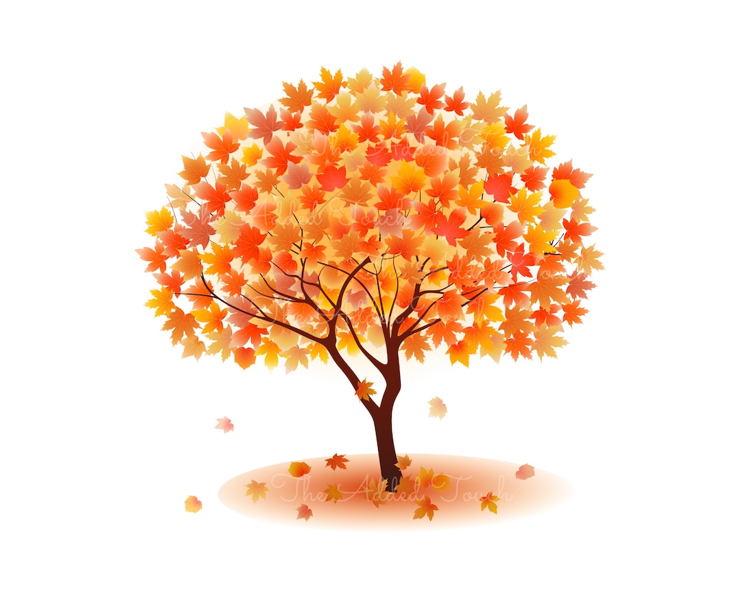 Fall Tree PNG, Fall Tree Image, Fall Leaves Download, Fall is My Favorite Color PNG, Autumn ...
