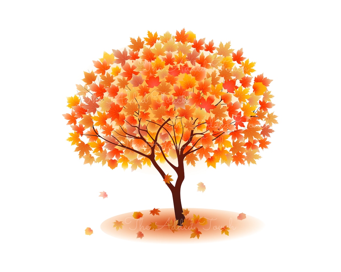 Fall Tree PNG, Fall Tree Image, Fall Leaves Download, Fall is My ...