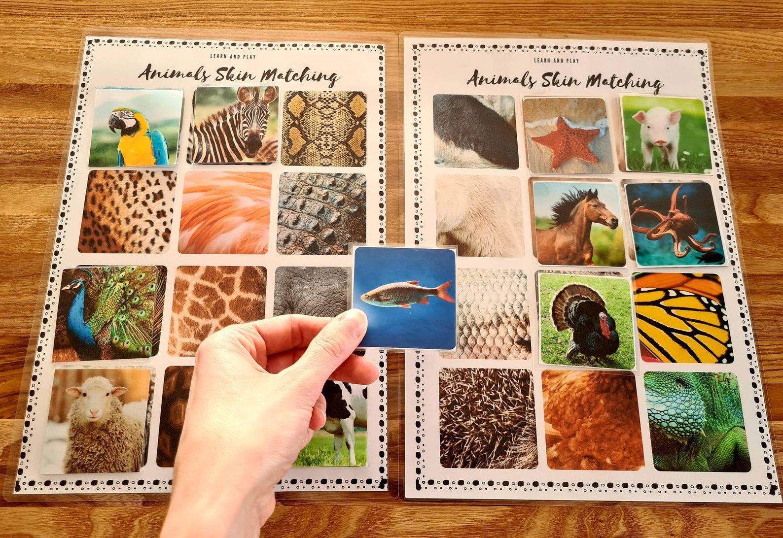 Animals Skin Matching Game Printable Homeschool Learning - Etsy