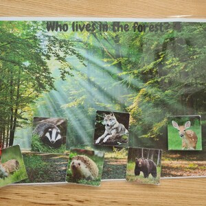 Animals Matching Busy Book Page Binder Printable Activity for Toddlers ...