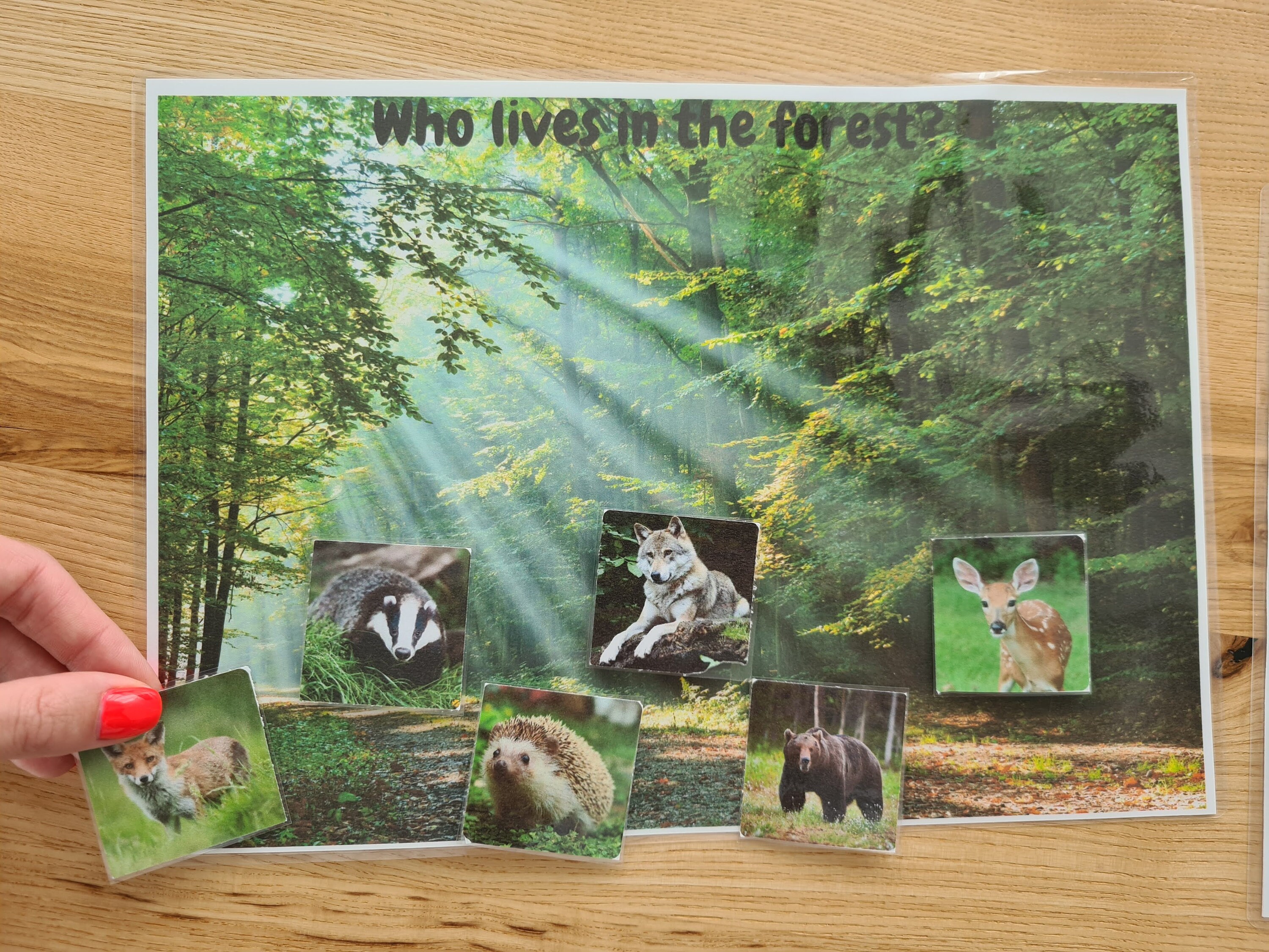 Animals Matching Busy Book Page Binder Printable Activity for Toddlers ...