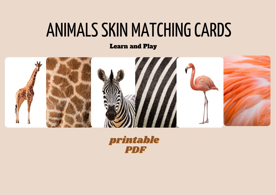 12 Animals Skin Matching Cards Printable Activity for Toddlers ...
