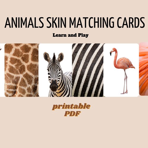12 Animals Skin Matching Cards Printable Activity for - Etsy