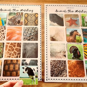 Animals Skin Matching Game Printable Homeschool Learning Educational ...