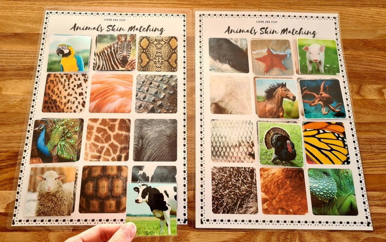 Animals Skin Matching Game Printable Homeschool Learning - Etsy