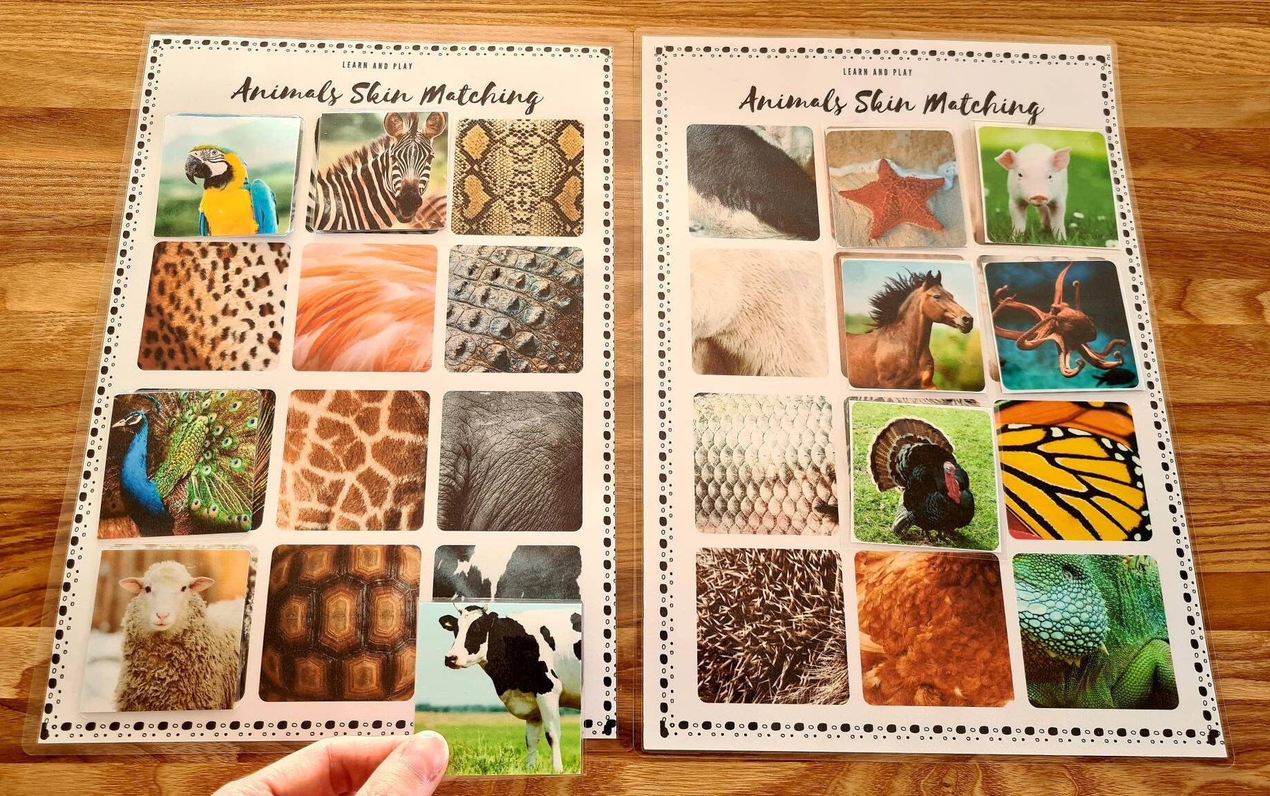 Animals Skin Matching Game Printable Homeschool Learning - Etsy