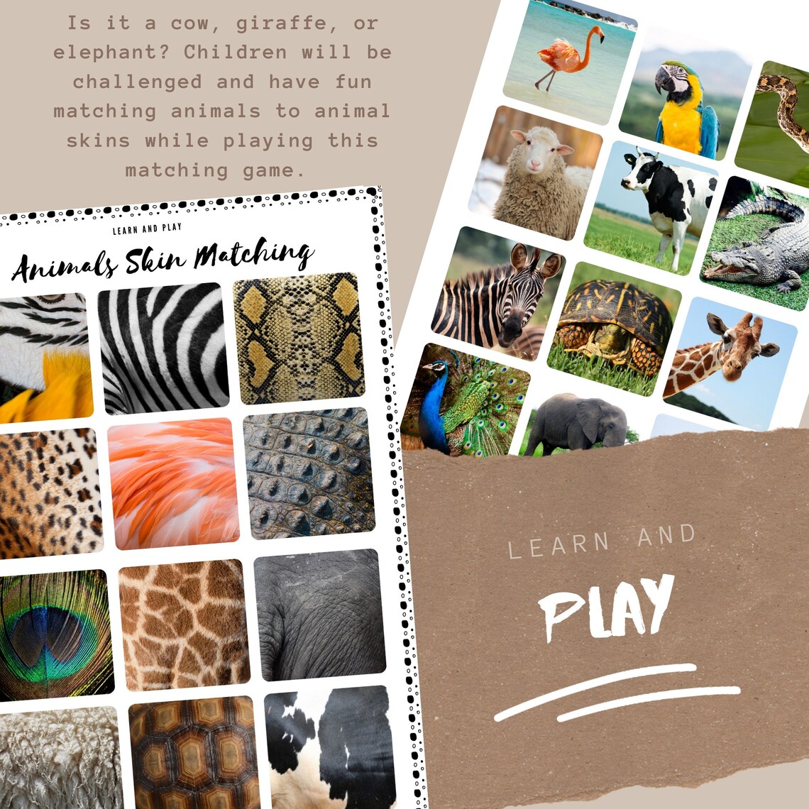 Animals Skin Matching Game Printable Homeschool Learning - Etsy