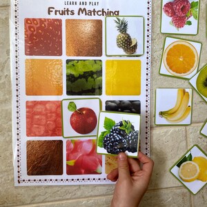 Fruits and Vegetables Matching Game Printable Homeschool Learning ...