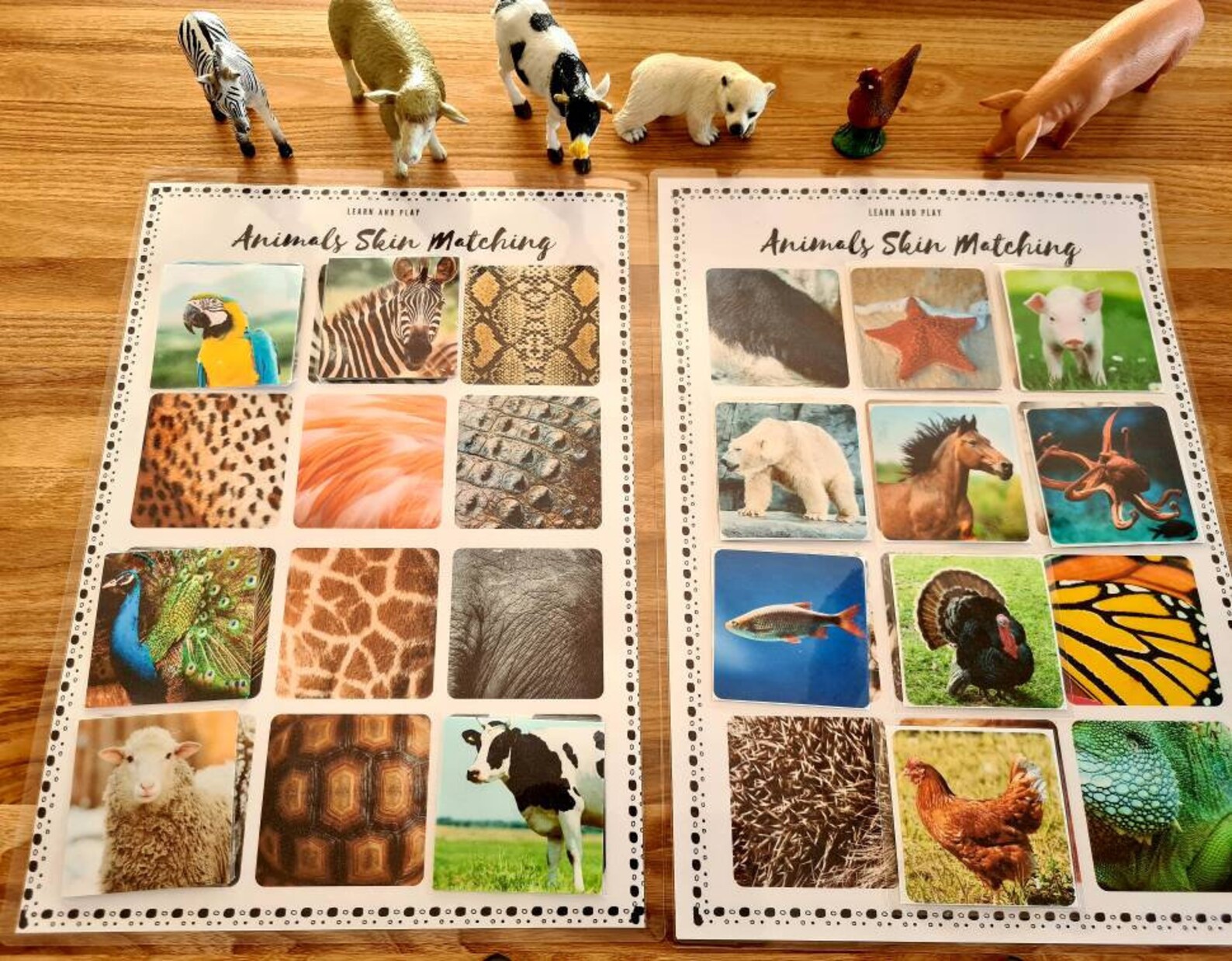 Animals Skin Matching Game Printable Homeschool Learning | Etsy