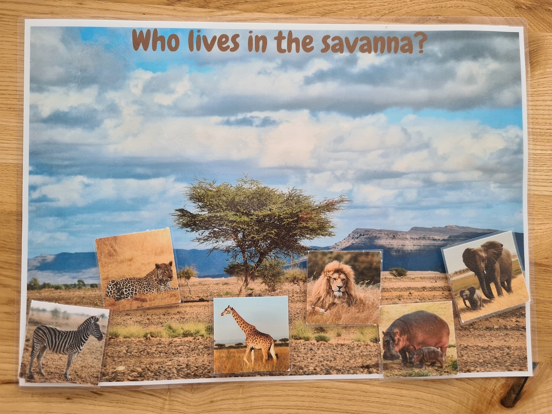 Animals Matching Busy Book Page Binder Printable Activity for Toddlers ...