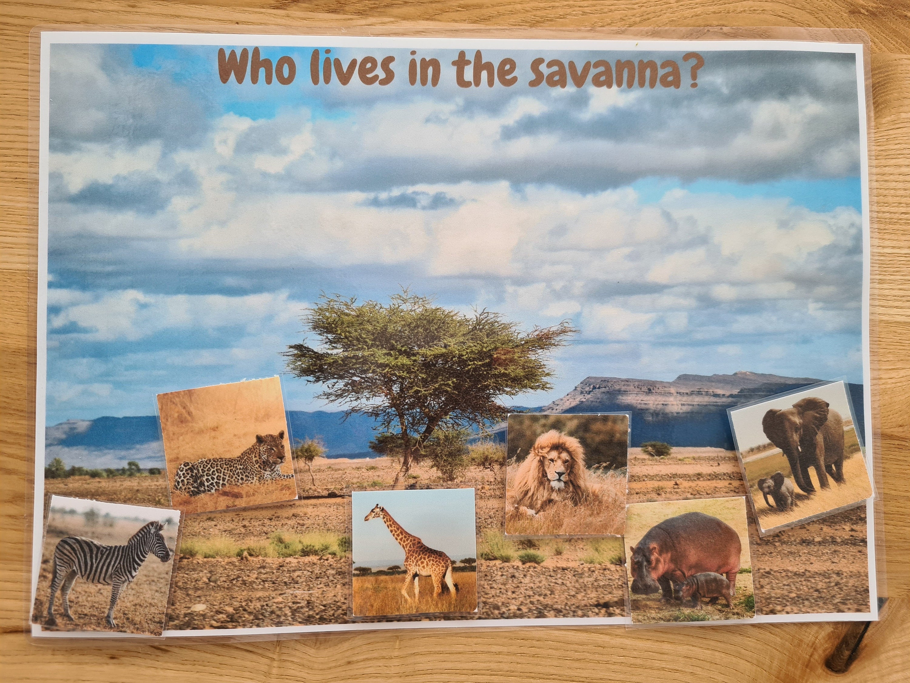 Animals Matching Busy Book Page Binder Printable Activity for Toddlers ...