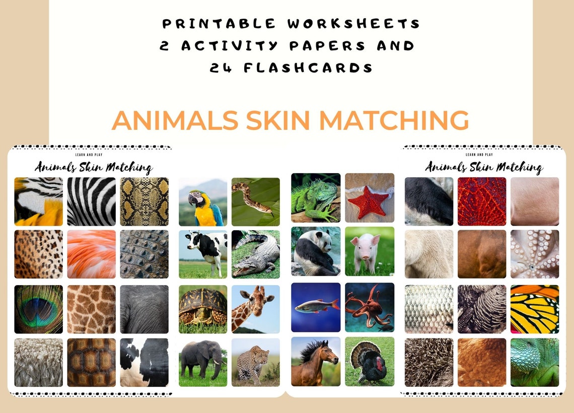 Animals Skin Matching Game Printable Homeschool Learning | Etsy