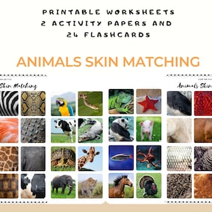 Animals Skin Matching Game Printable Homeschool Learning Educational ...