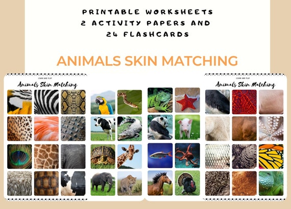 Animals Skin Matching Game Printable Homeschool Learning - Etsy