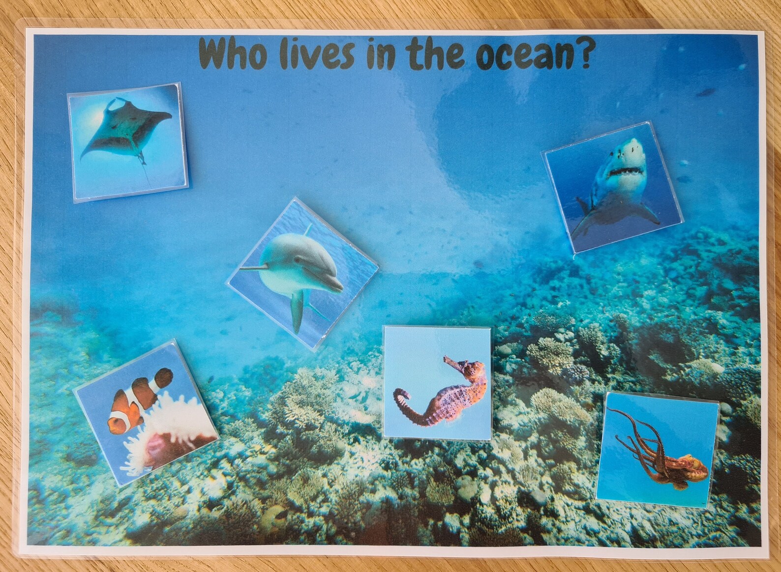 Animals Matching Busy Book Page Binder Printable Activity for Toddlers ...