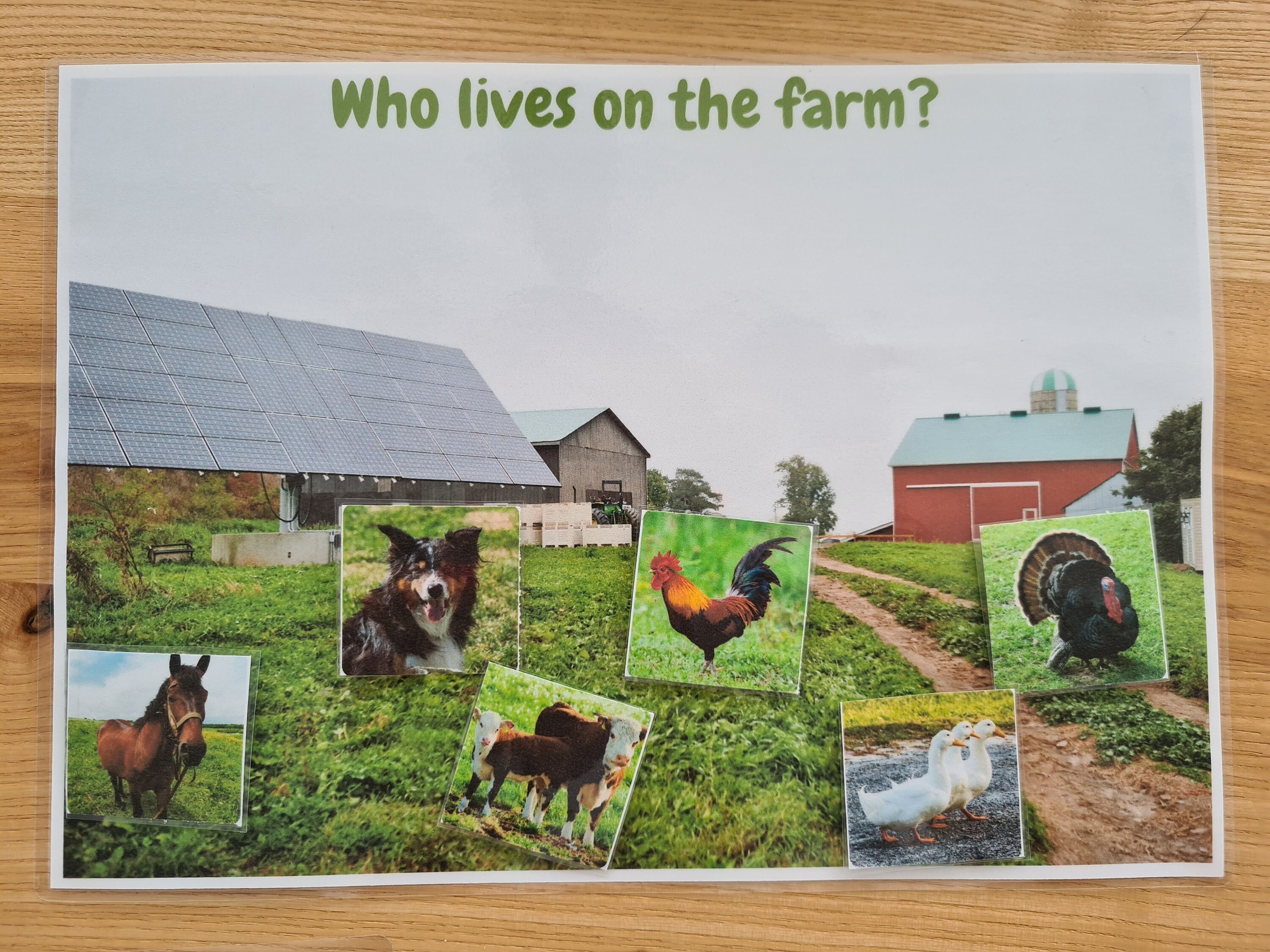 Animals Matching Busy Book Page Binder Printable Activity for Toddlers ...