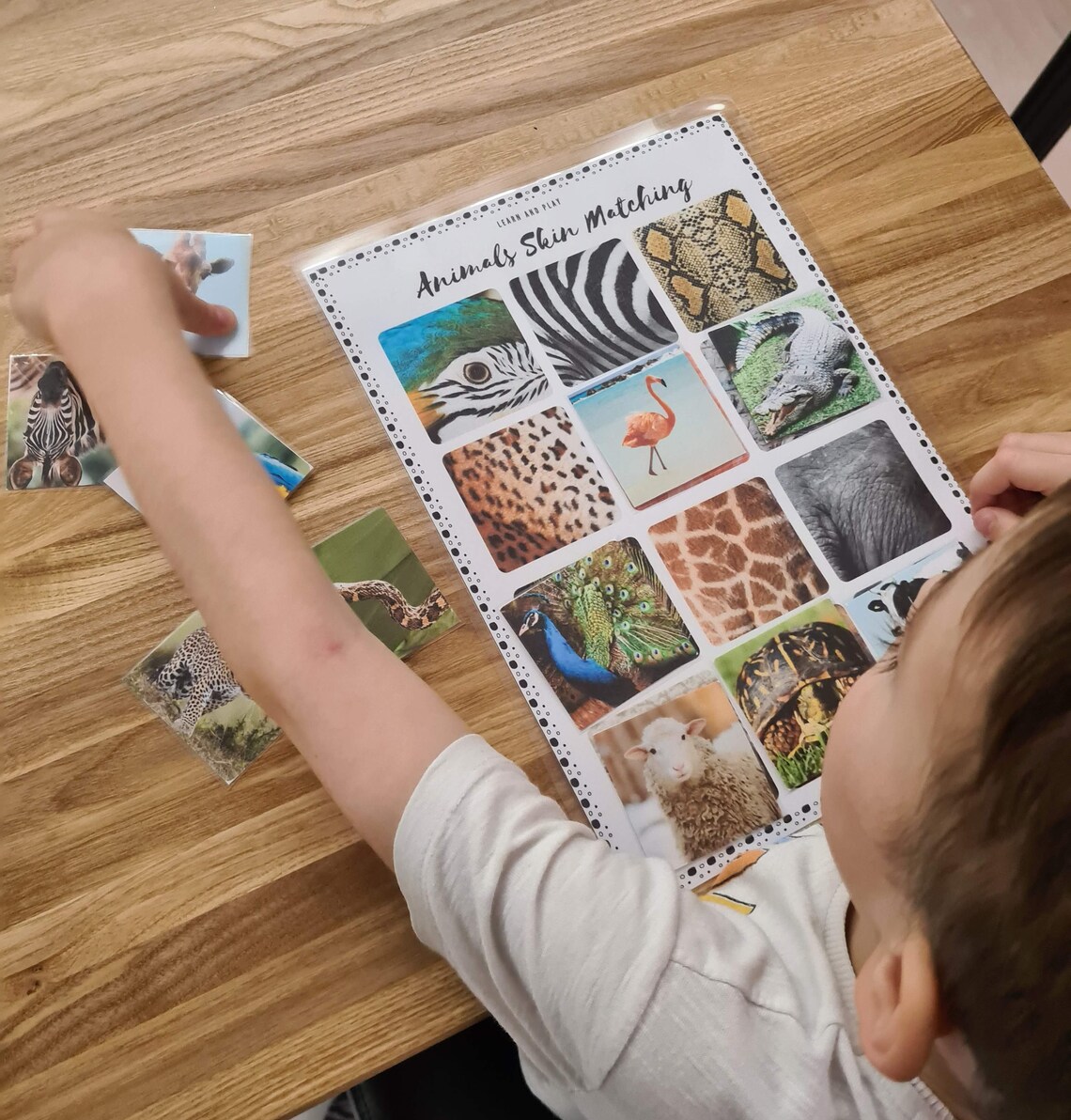 Animals Skin Matching Game Printable Homeschool Learning | Etsy