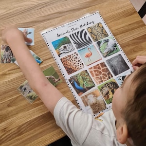 Animals Skin Matching Game Printable Homeschool Learning Educational ...
