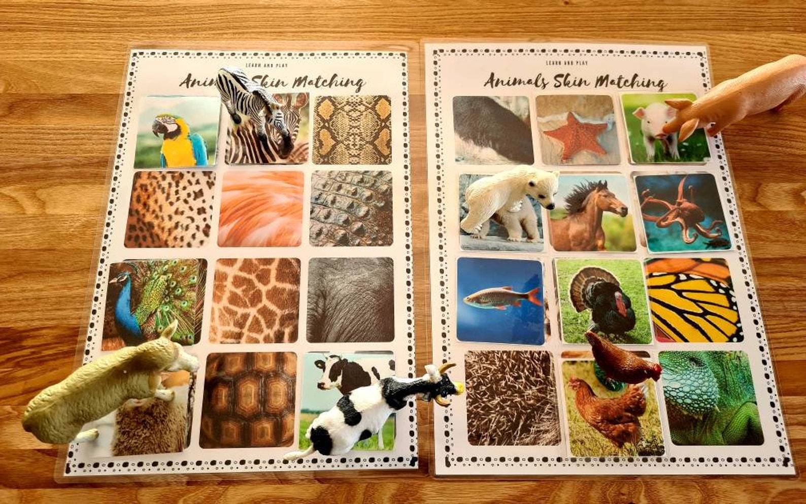 Animals Skin Matching Game Printable Homeschool Learning | Etsy