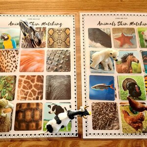 Animals Skin Matching Game Printable Homeschool Learning Educational ...