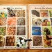 Animals Skin Matching Game Printable Homeschool Learning Educational ...