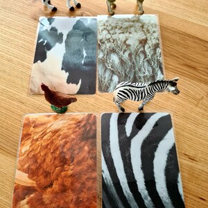 12 Animals Skin Matching Cards Printable Activity for Toddlers ...