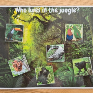Animals Matching Busy Book Page Binder Printable Activity for Toddlers ...