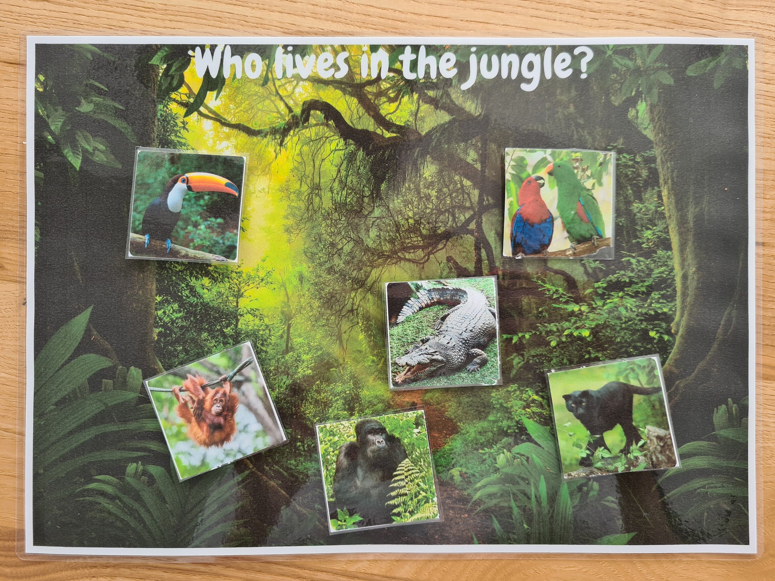 Animals Matching Busy Book Page Binder Printable Activity for Toddlers ...