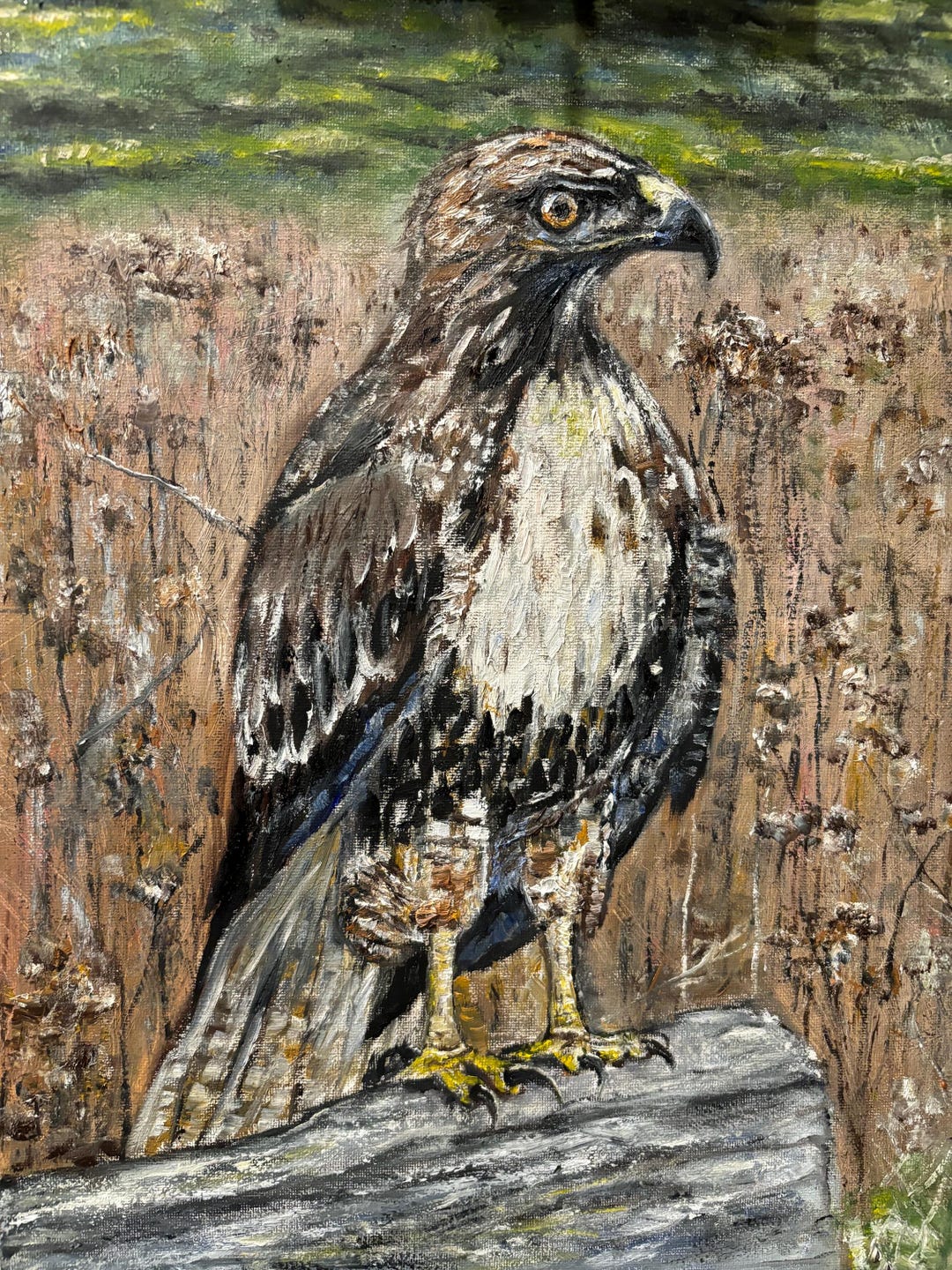 California Red Tailed Hawk Bird of Prey Original Oil Painting Wall Art ...