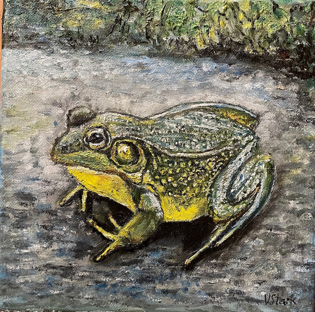 Bullfrog Frog Amphibian Wall Art Original Oil Painting 8"x8” - Etsy