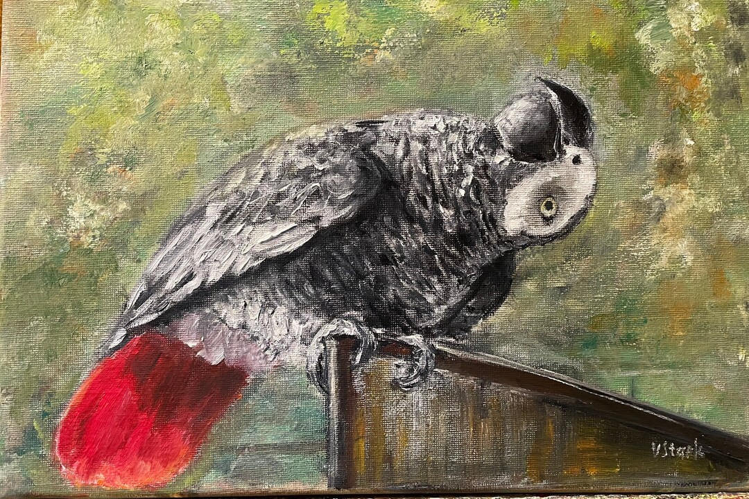 Parrot African Grey Red-tailed Parrot Wall Art Original Oil Painting 11 ...
