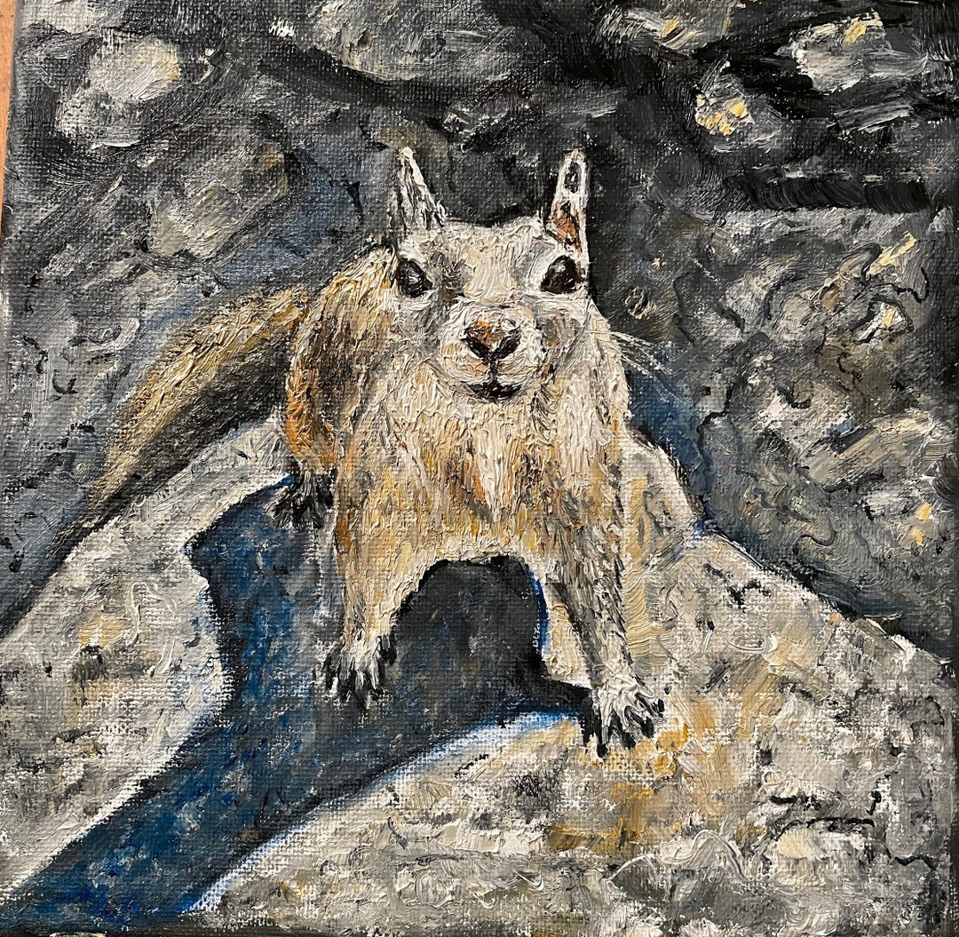 Squirrel on a Rock Wall Art Original Oil Painting 8"x8" - Etsy