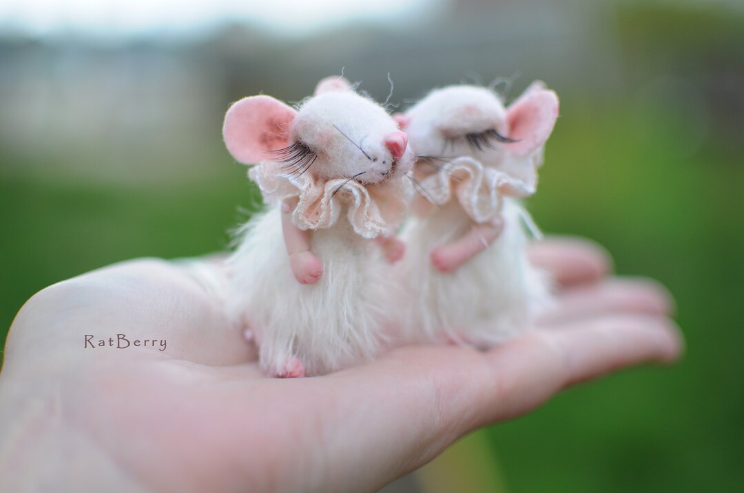Needle Felted Mouse by Ratberry, Realistic Felt Mice Doll. Fluffy Mouse ...