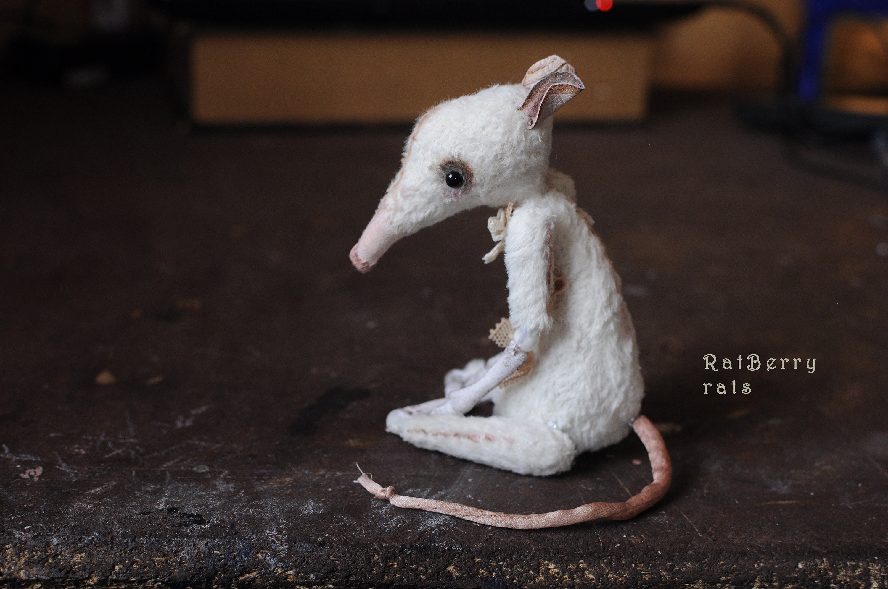 BABY White Boy Rat by Ratberry. Creepy Mouse Art Doll/easter - Etsy