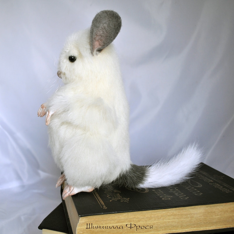 Chinchilla Toy - Etsy