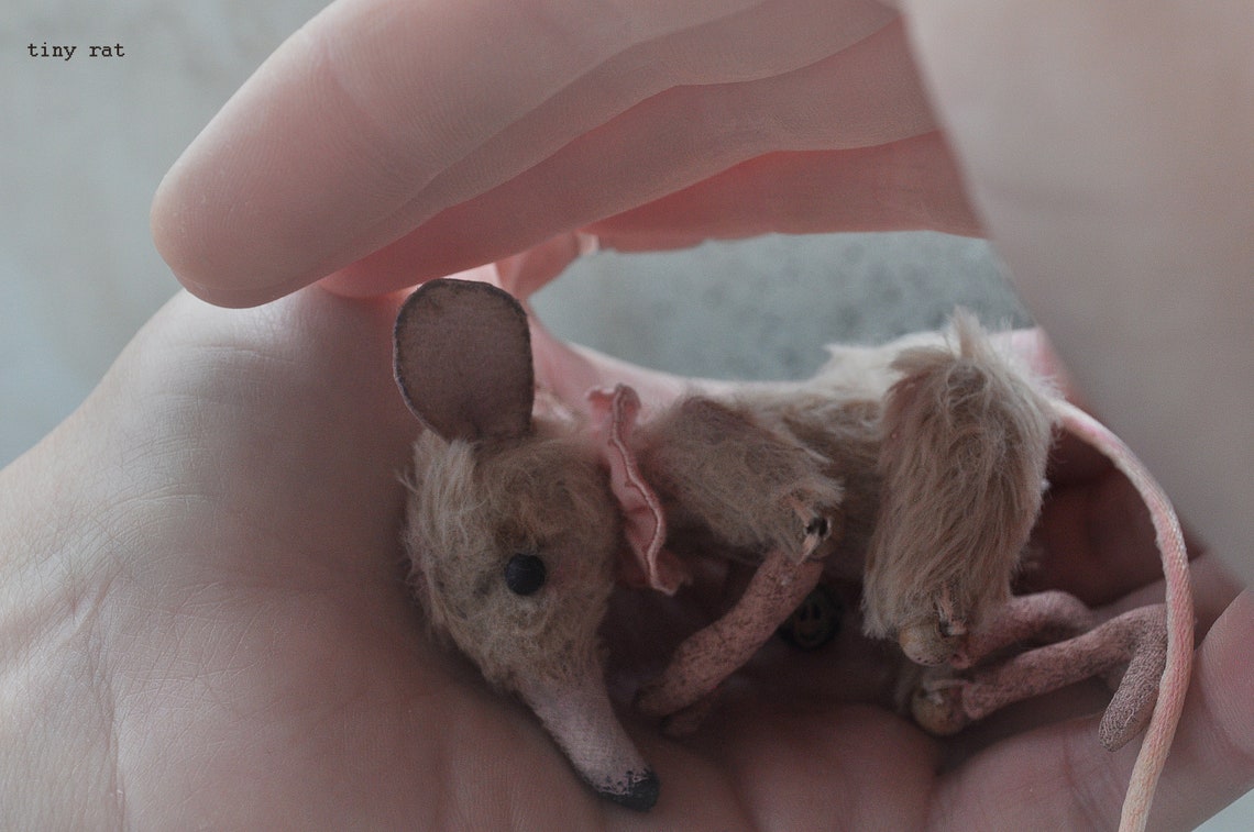 TINY Beige Boy Mouse. Bjd Stuffed Animals Rat by Ratberry. - Etsy