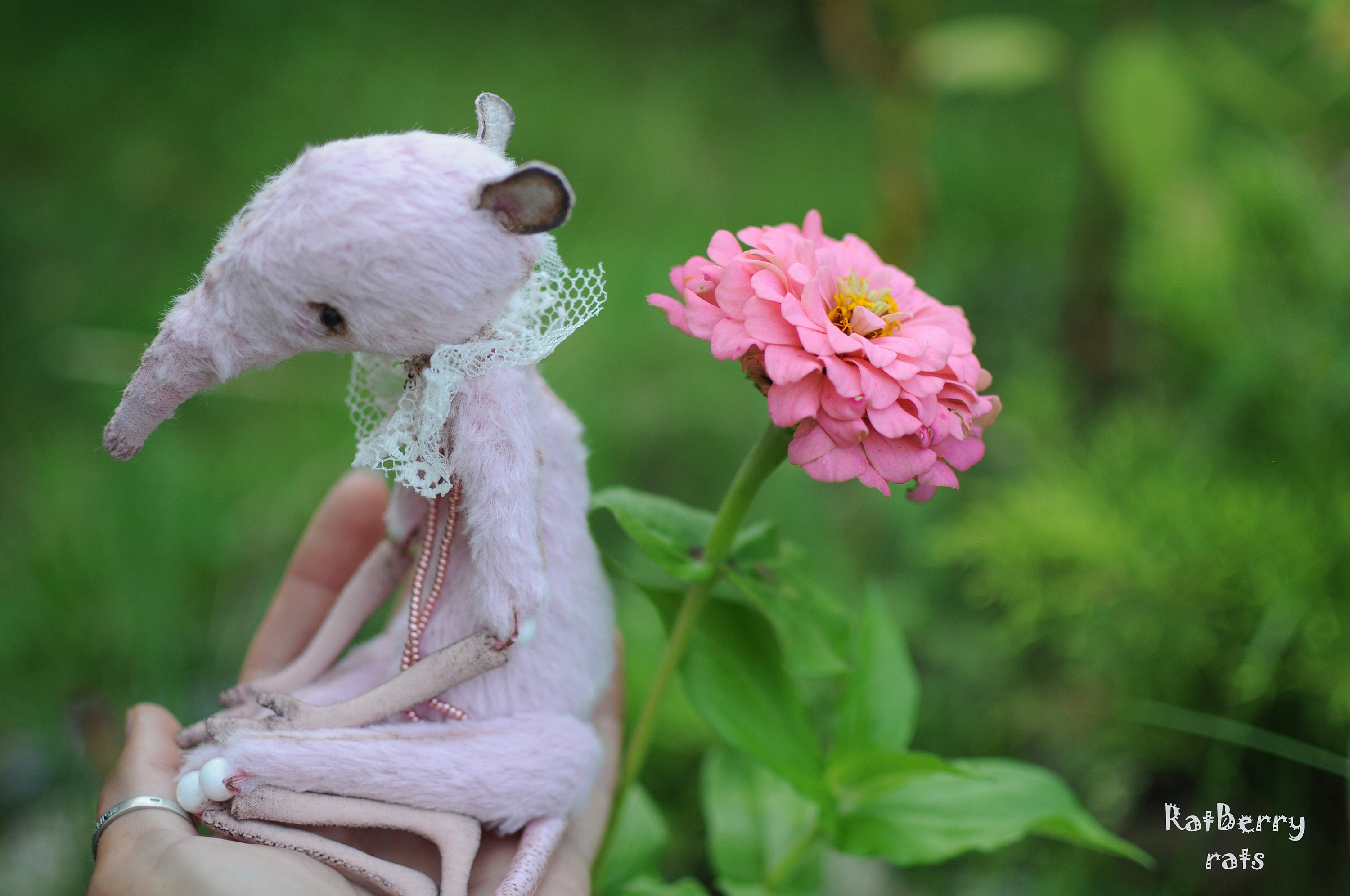 ADULT Pink Boy Rat Stuffed Toy. Social-emotional Toy of - Etsy