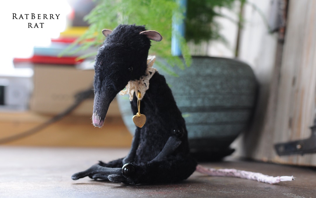 BABY Black Boy Rat by Ratberry. Creepy Doll Rat, Halloween Gift ...